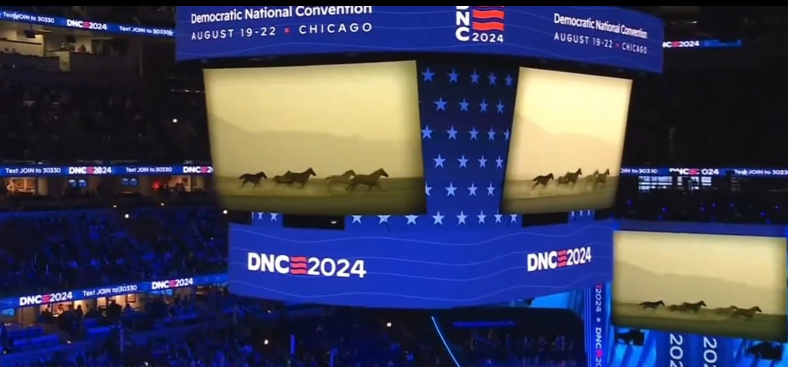Beyoncé's ‘freedom’ anthem thrills: DNC ad supercharges democratic ... Beyoncé's ‘freedom’ anthem thrills: DNC ad supercharges democratic ...