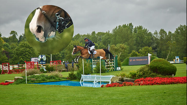 Phase One celebrates its 30th birthday. Who remembers those first ...