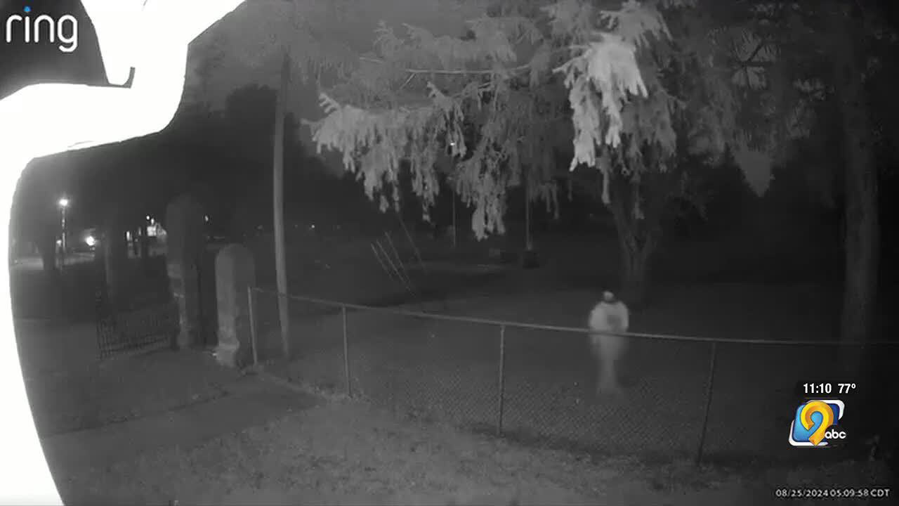Waterloo police trying to identify suspect in cemetery vandalism case Waterloo police trying to identify suspect in cemetery vandalism case