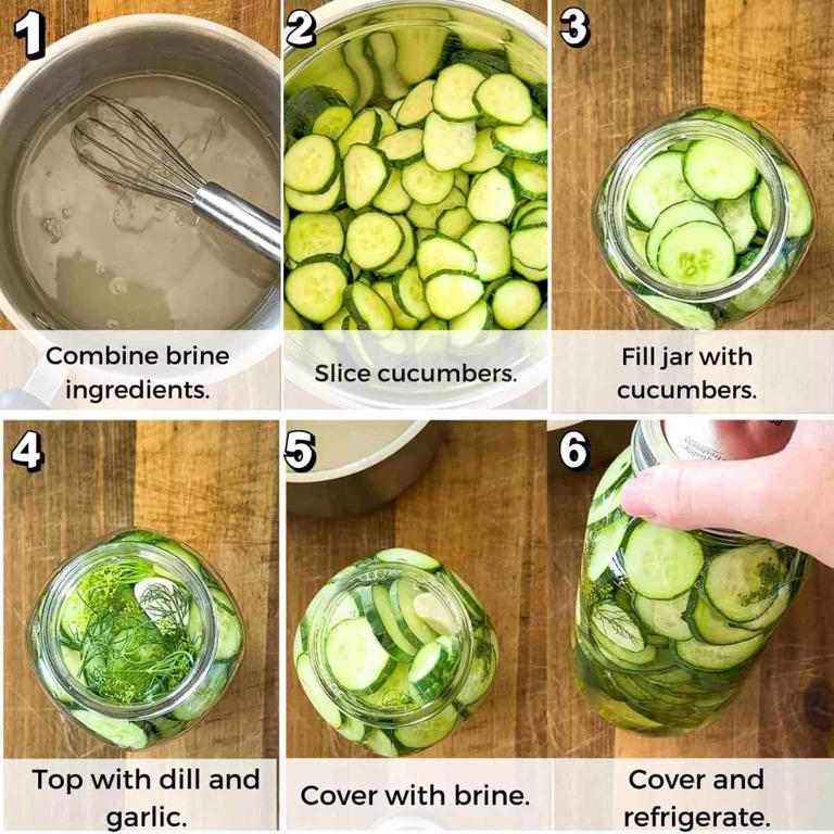 Crispy Refrigerator Sweet Dill Pickles