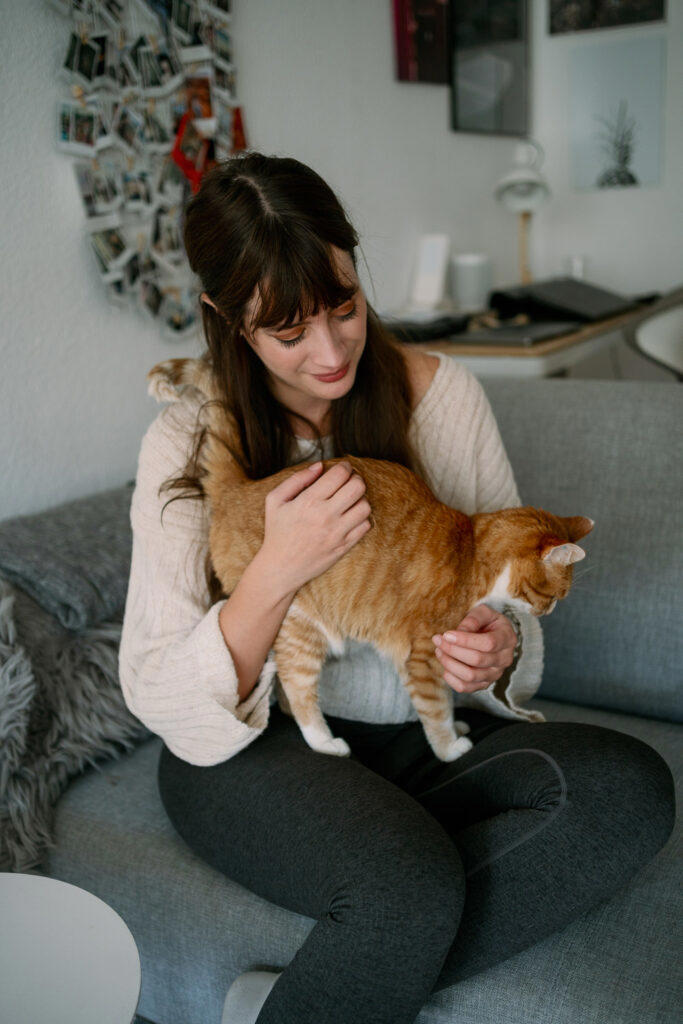 Mach deine Katze glücklich - 5 Tipps! Mach deine Katze glücklich - 5 Tipps!