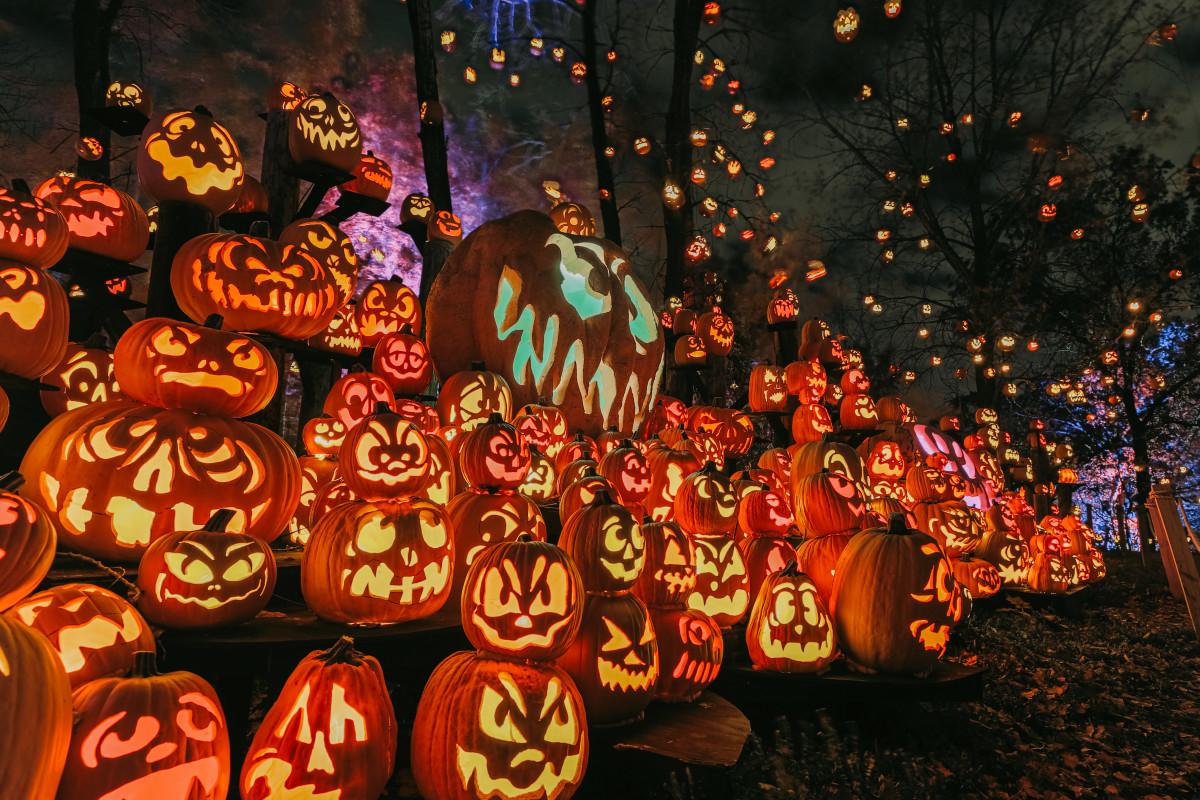 Thousands of pumpkins will hit the Minnesota Zoo as the Jack-O-Lantern ...