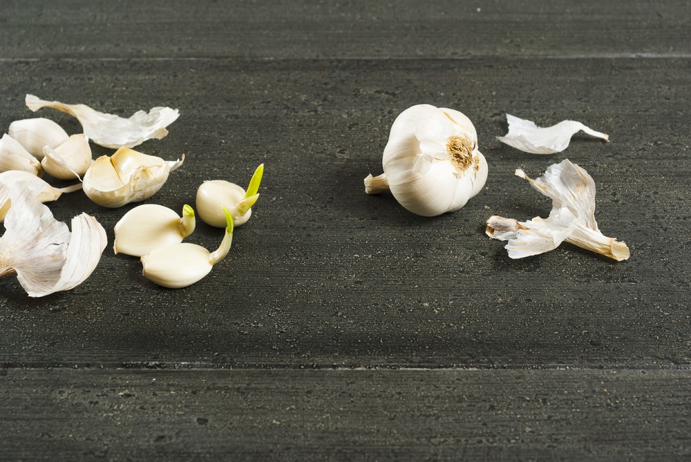 Faut-il réellement retirer le germe de l'ail ? La science a tranché