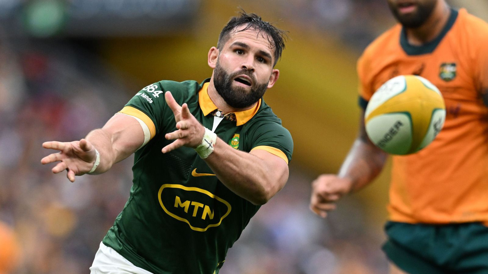 Stormers announce the signing of double World Cup winner Cobus Reinach