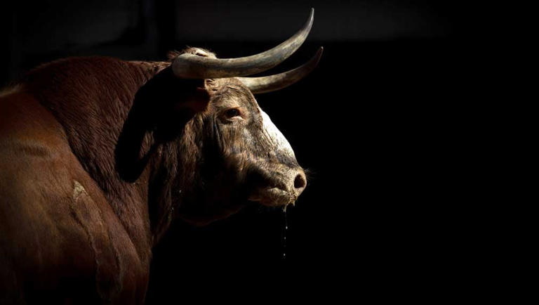Stock Market Today: Small Caps Rise, Edging Dow; Travel Firms Jump On ...
