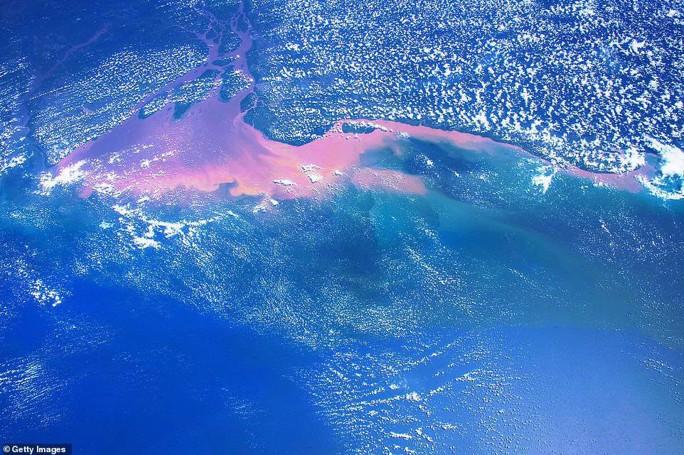 Huge patch of the Atlantic Ocean is randomly cooling at a record speed Huge patch of the Atlantic Ocean is randomly cooling at a record speed