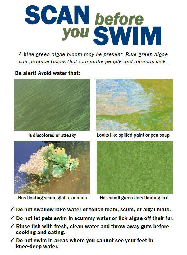 It's swimming time! Here's how to be safe, avoid common Winnebago ...