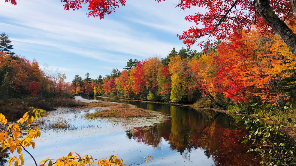 Fall 2024 ranks among top five warmest seasons in Portland's recorded ... Fall 2024 ranks among top five warmest seasons in Portland's recorded ...