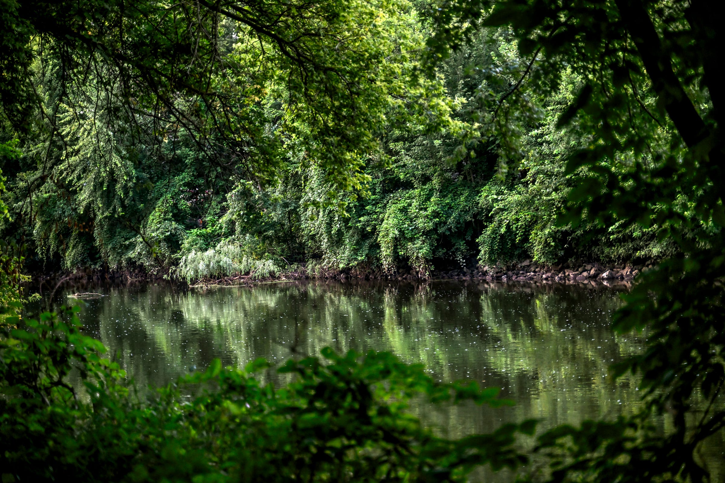 Lansing sues to break up homelessness encampment near city park