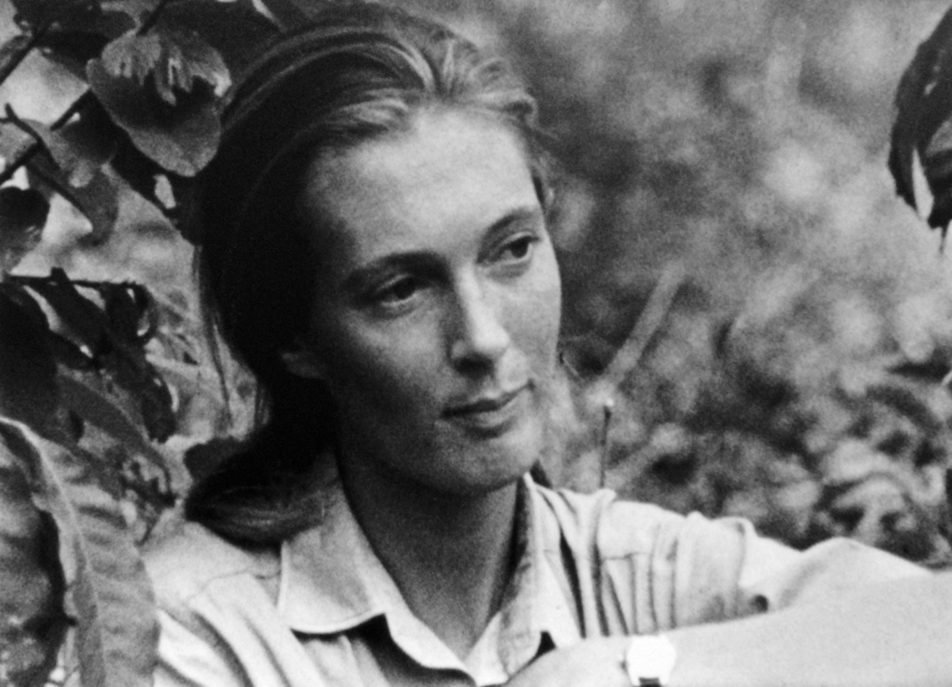 Jane Goodall: A life with the wild