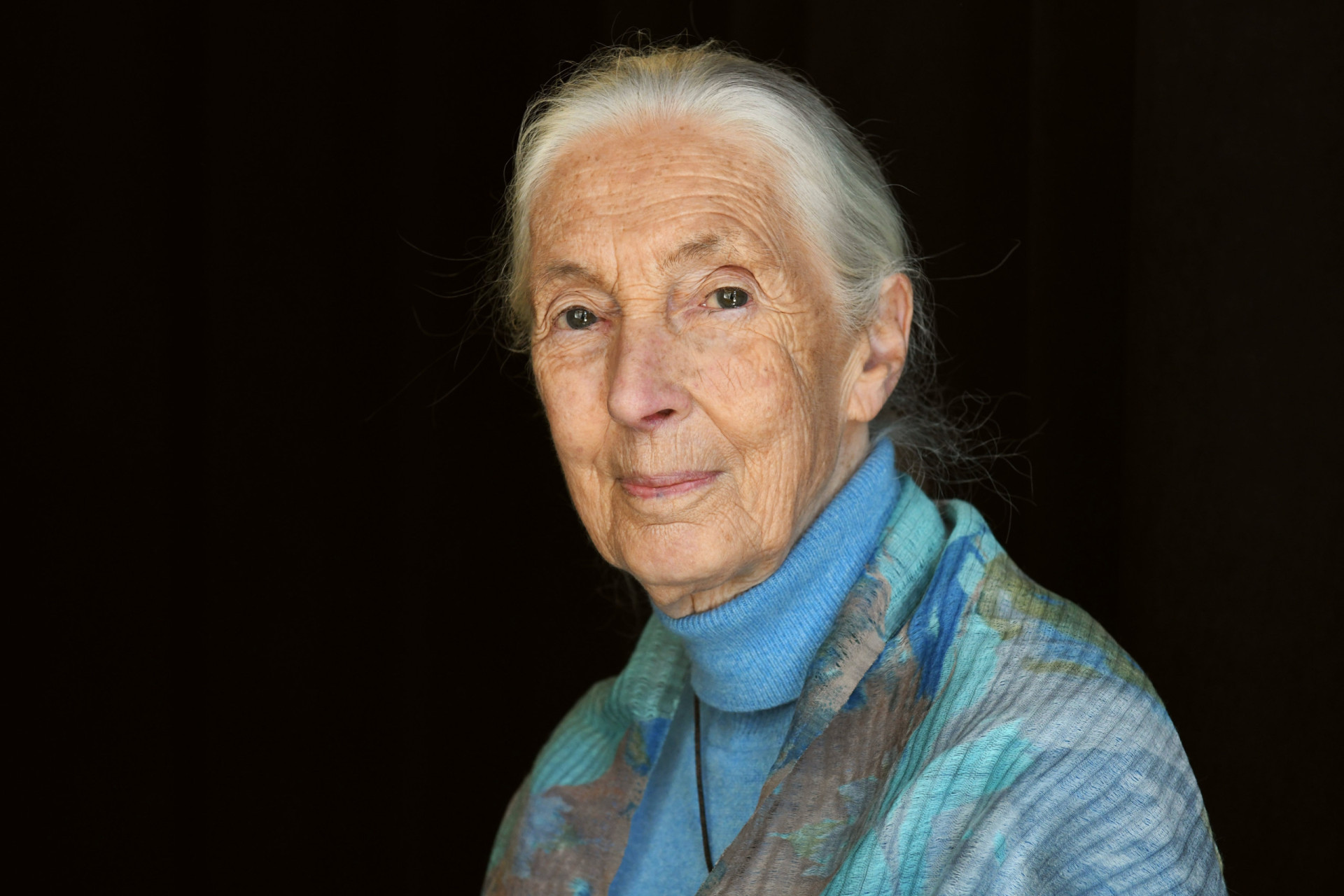 Jane Goodall: a life with the wild