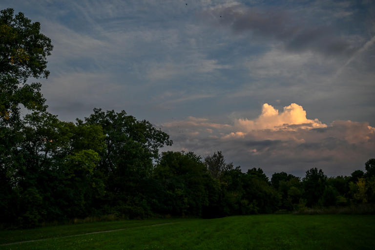 Most of Michigan faces extreme heat watch; life-threatening currents ...