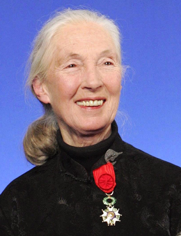 The amazing life of Jane Goodall, the world's most famous primatologist