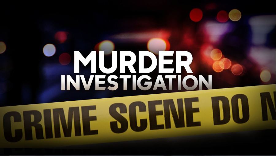RCSO: Woman dead following domestic incident, suspect in custody for ...