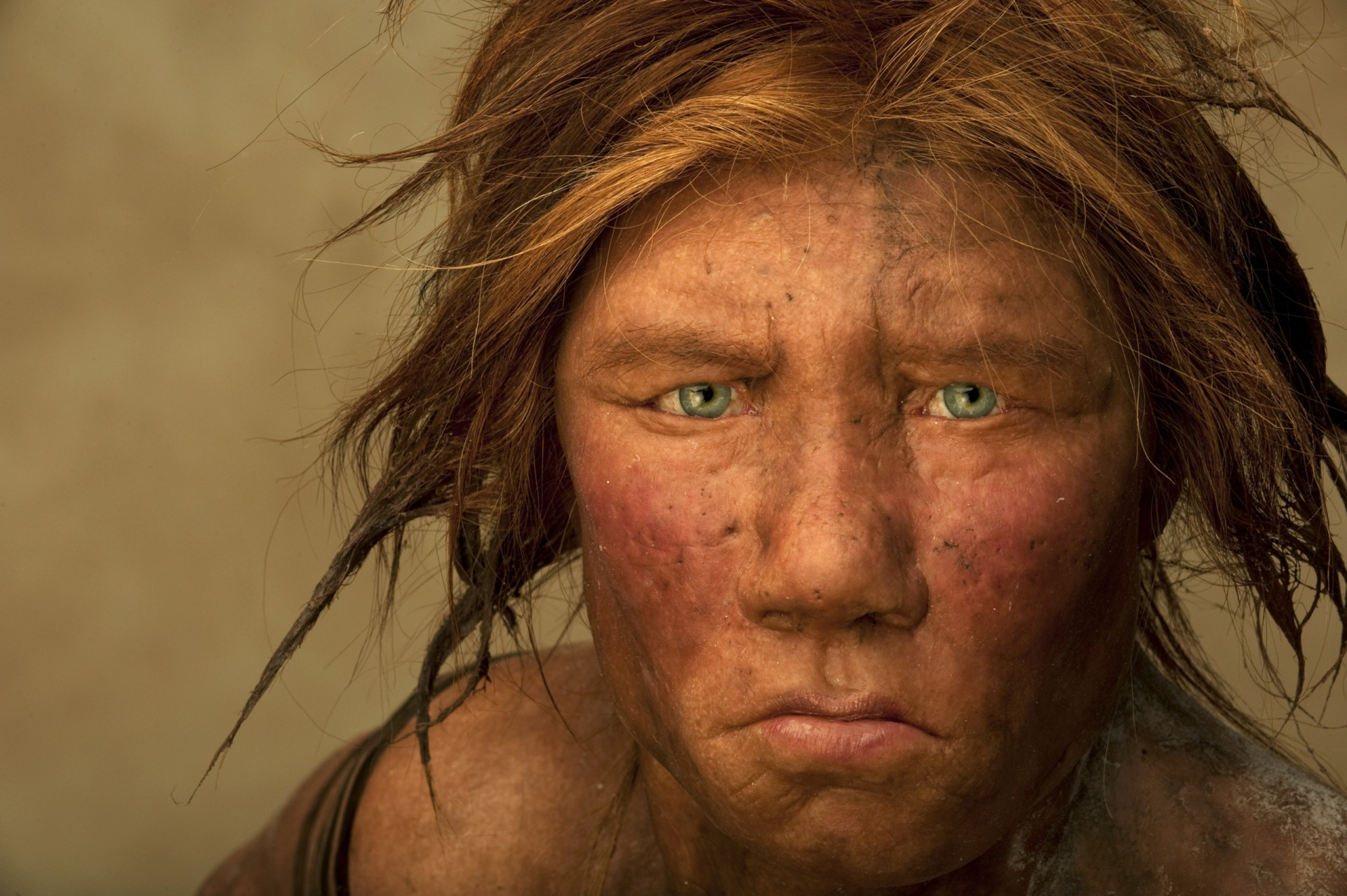 What was the Neanderthal diet like?