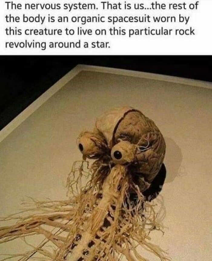 50 Funny Nihilist Pictures For Misanthropes And Dark Humor Lovers