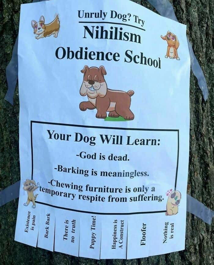 50 Funny Nihilist Pictures For Misanthropes And Dark Humor Lovers