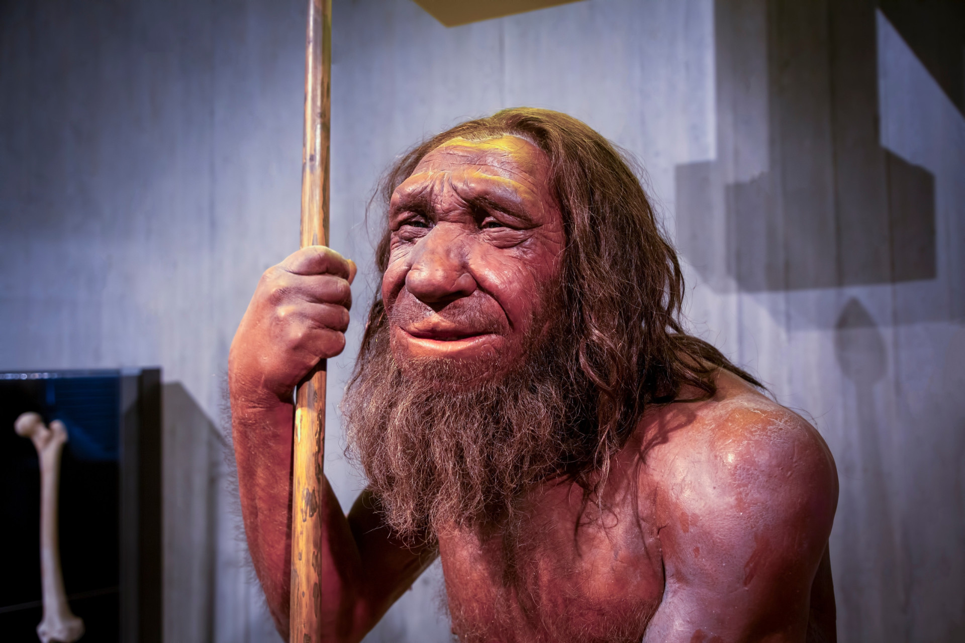 What was the Neanderthal diet like?