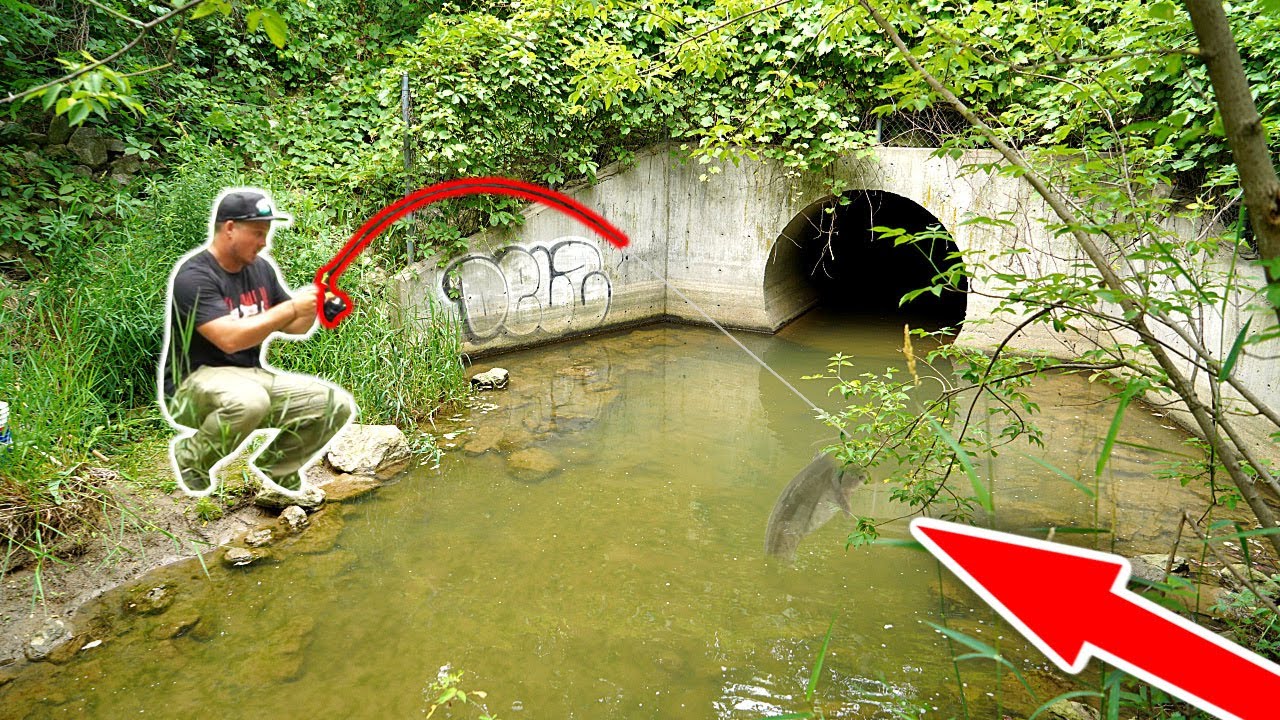 Spillway Secrets Revealed: An Unbelievable Micro Fishing Find