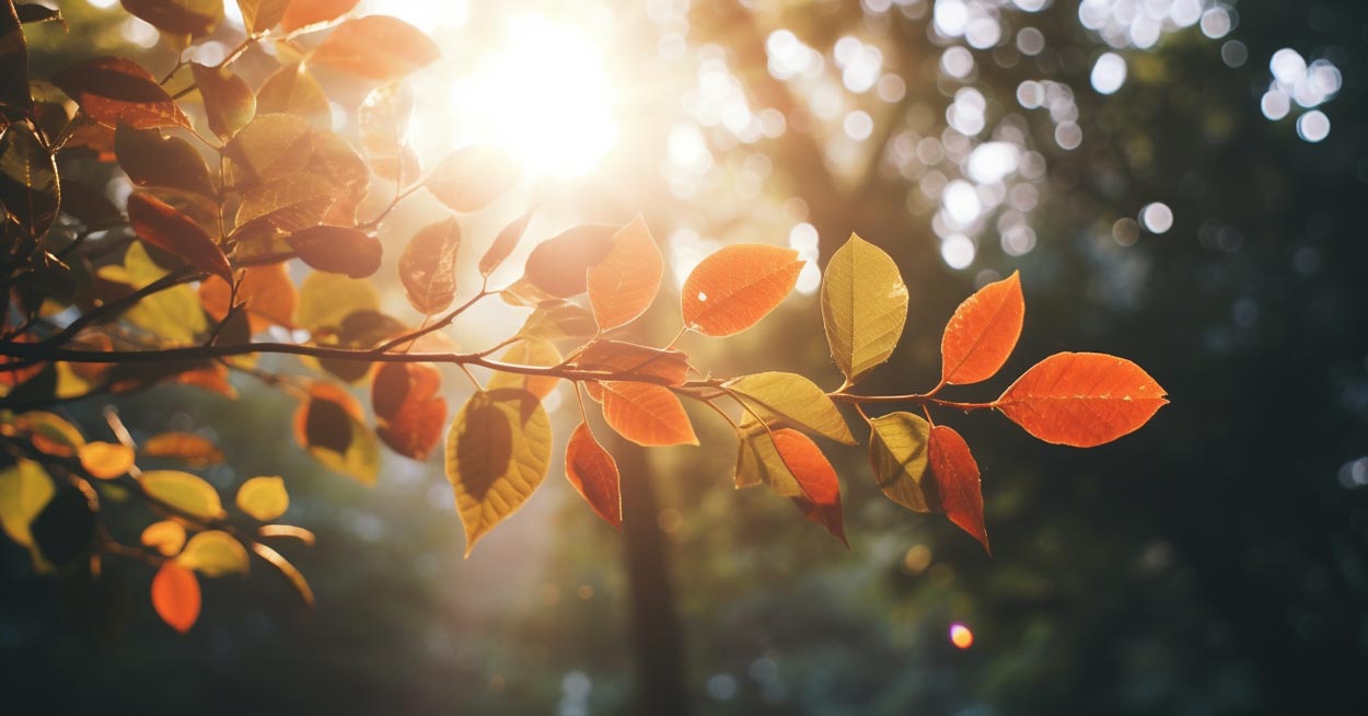 September is all about new beginnings — celebrate with these quotes