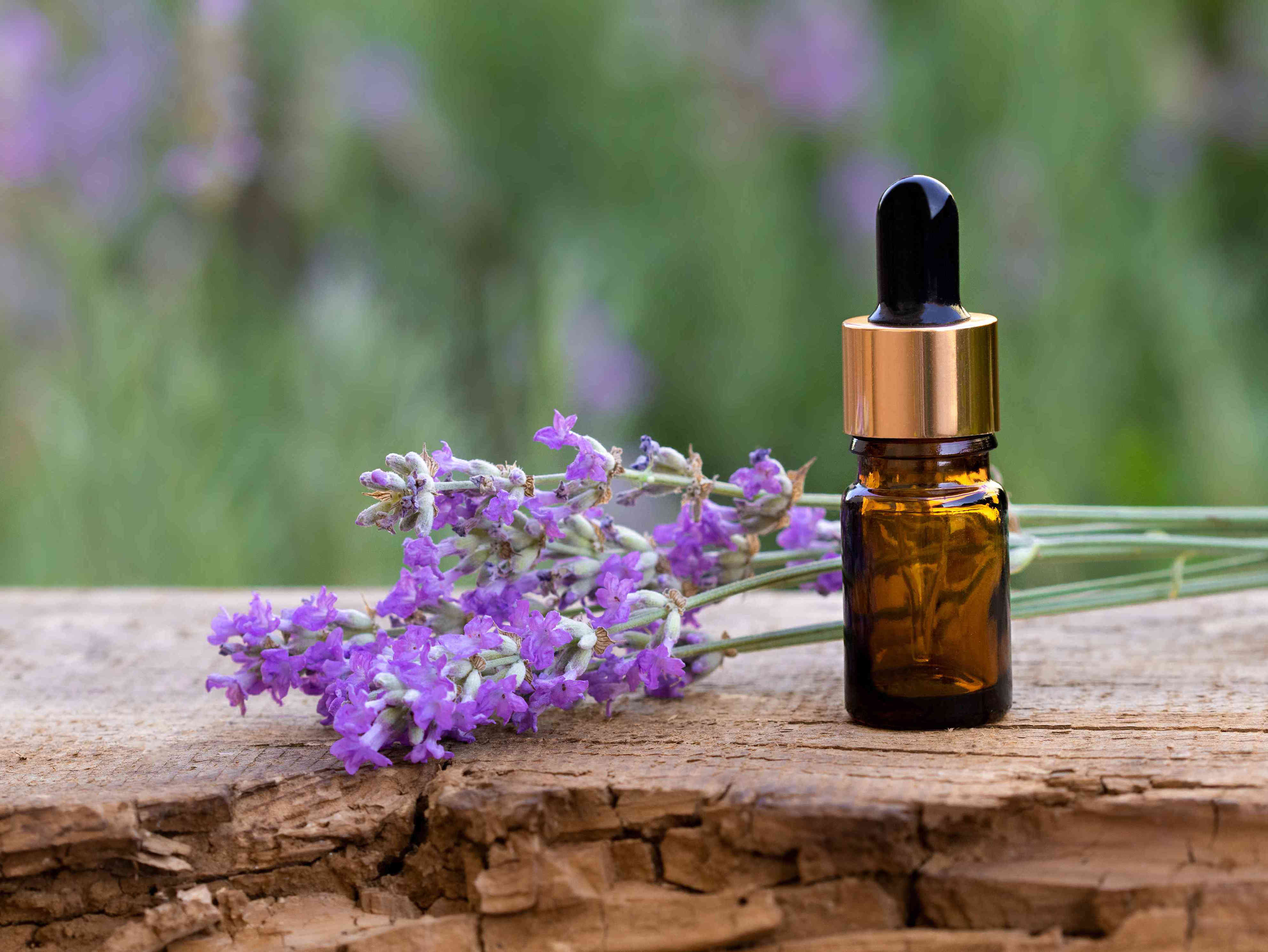 The many positive health benefits of lavender