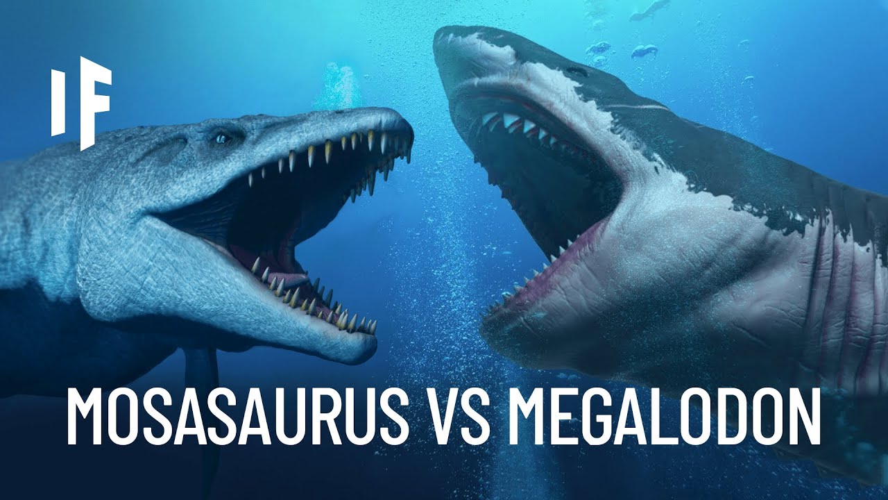 Imagine the megalodon shark fighting the mosasaurus in the ocean