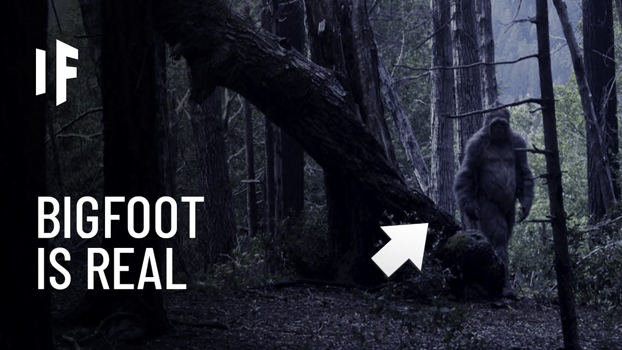 Bigfoot: Could the Legend Be More Than Just a Myth?