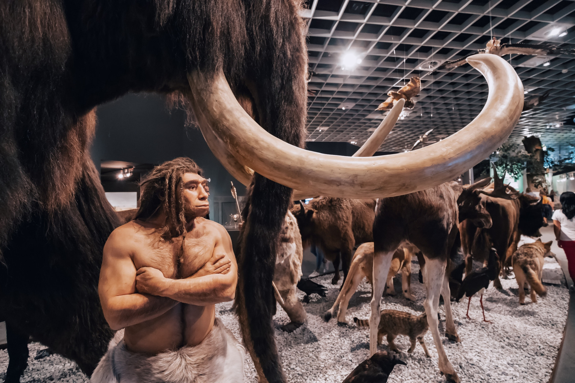 Hoe zag het dieet van de Neanderthalers eruit?