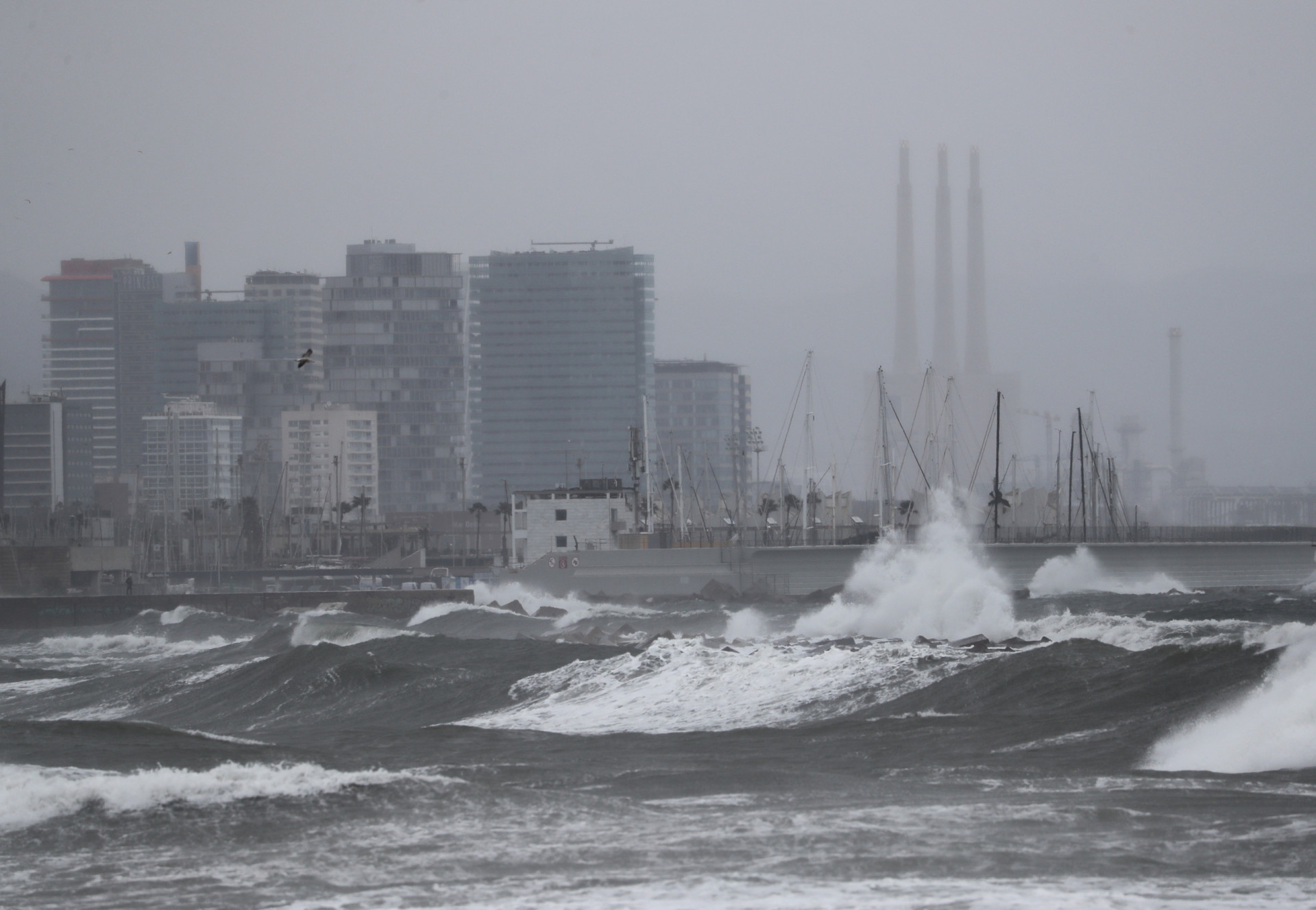 Experts predict a tsunami in Europe with 100% probability