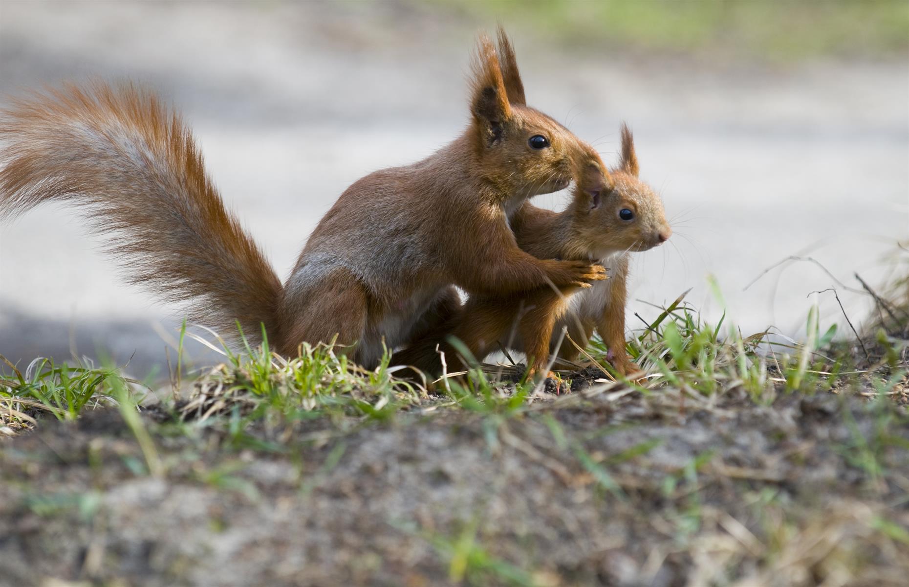 Locations that inspired Monet and other iconic painters