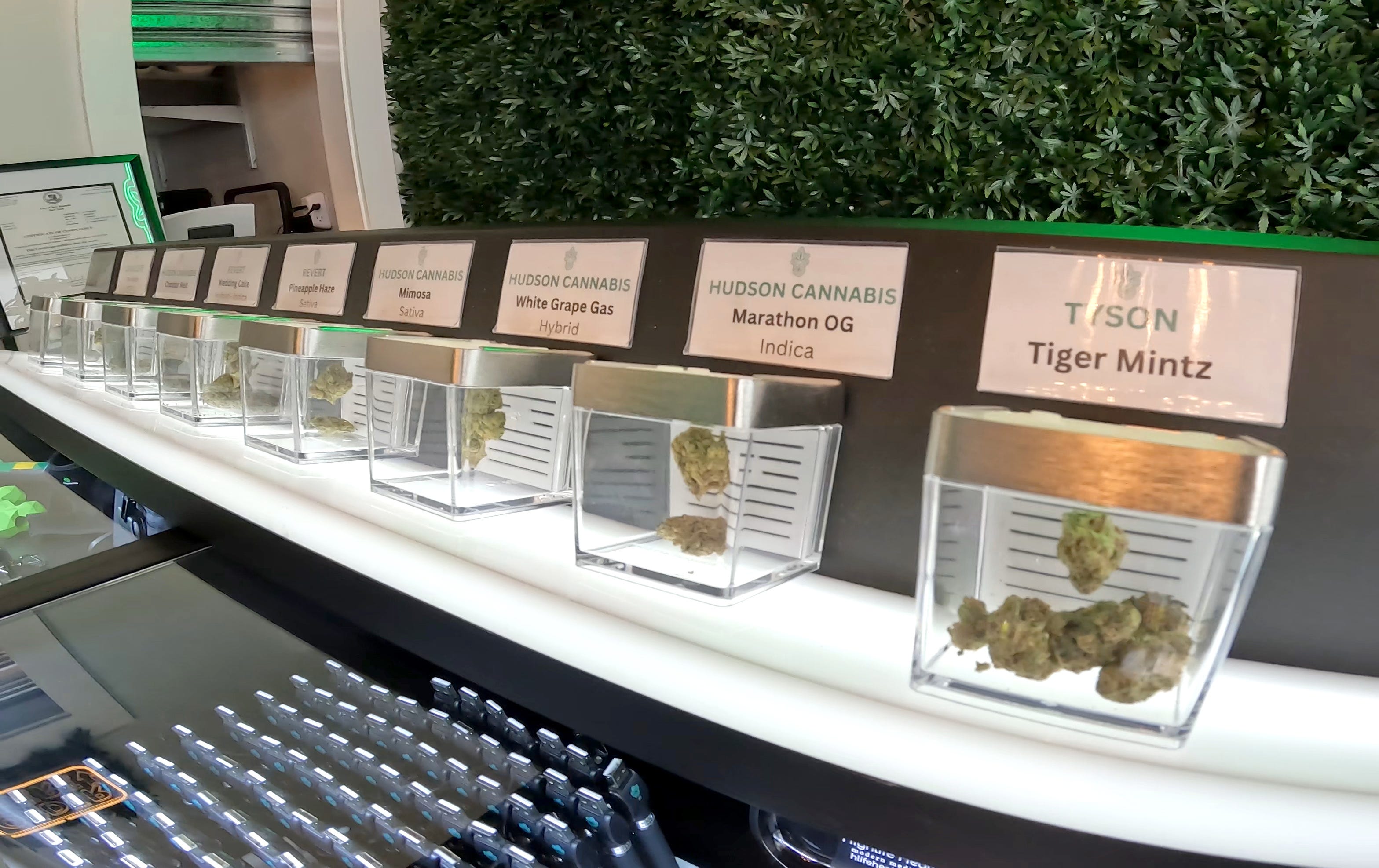 How many cannabis dispensaries are there in the Lower Hudson Valley ...