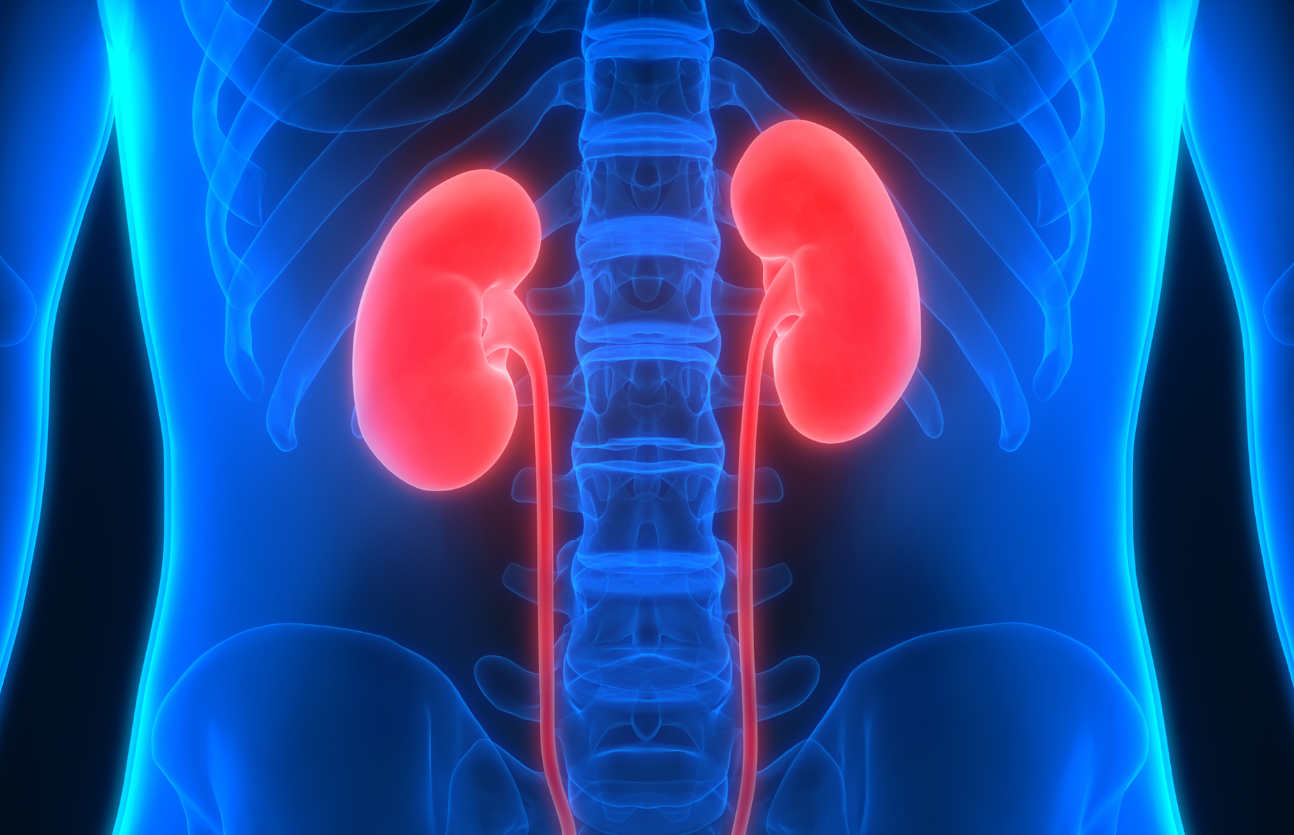 Are your kidneys functioning properly?