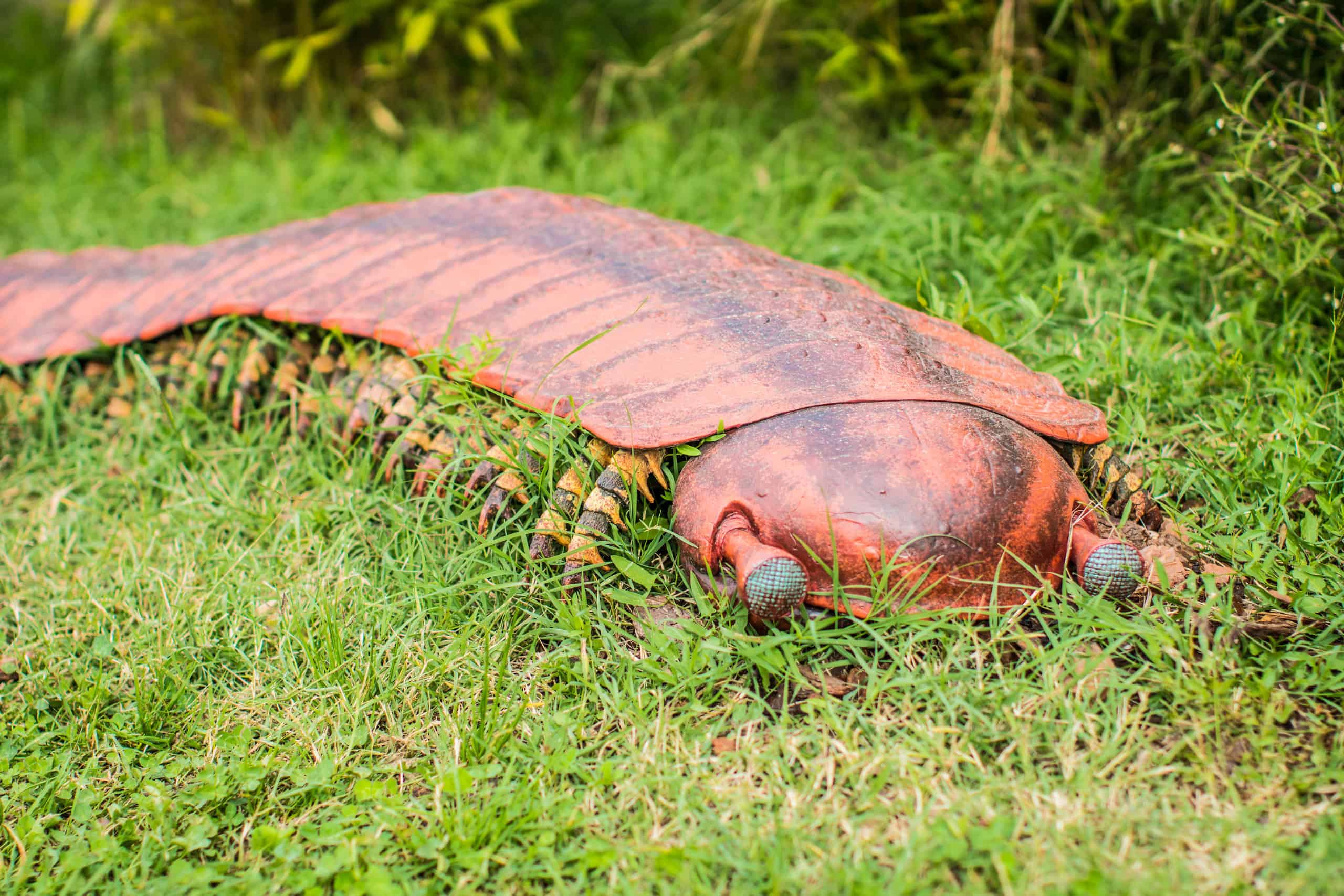 Uncover the Secrets of the Giant Millipede That Once Crawled the Earth