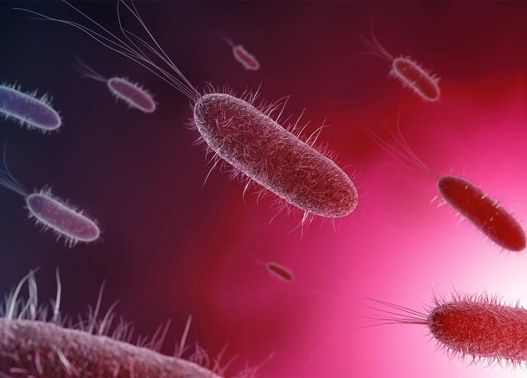 Death Toll Rises To 9 In Relation To Nationwide Listeria Outbreak—The ... Death Toll Rises To 9 In Relation To Nationwide Listeria Outbreak—The ...