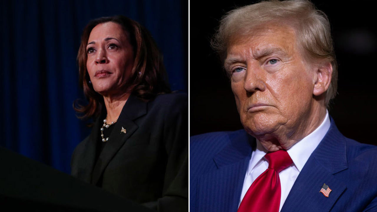 Who will win the 2024 election? Presidential predictor Allan Lichtman ... Who will win the 2024 election? Presidential predictor Allan Lichtman ...