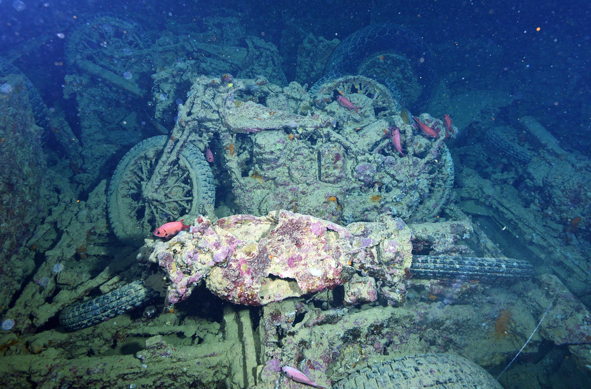 Famous shipwrecks preserved on the ocean floor