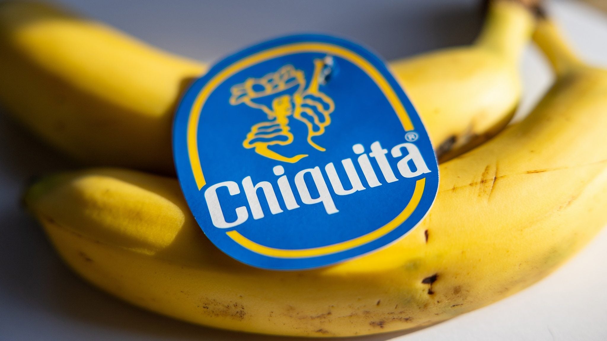 Strike action ‘hits Chiquita operations in Panama’