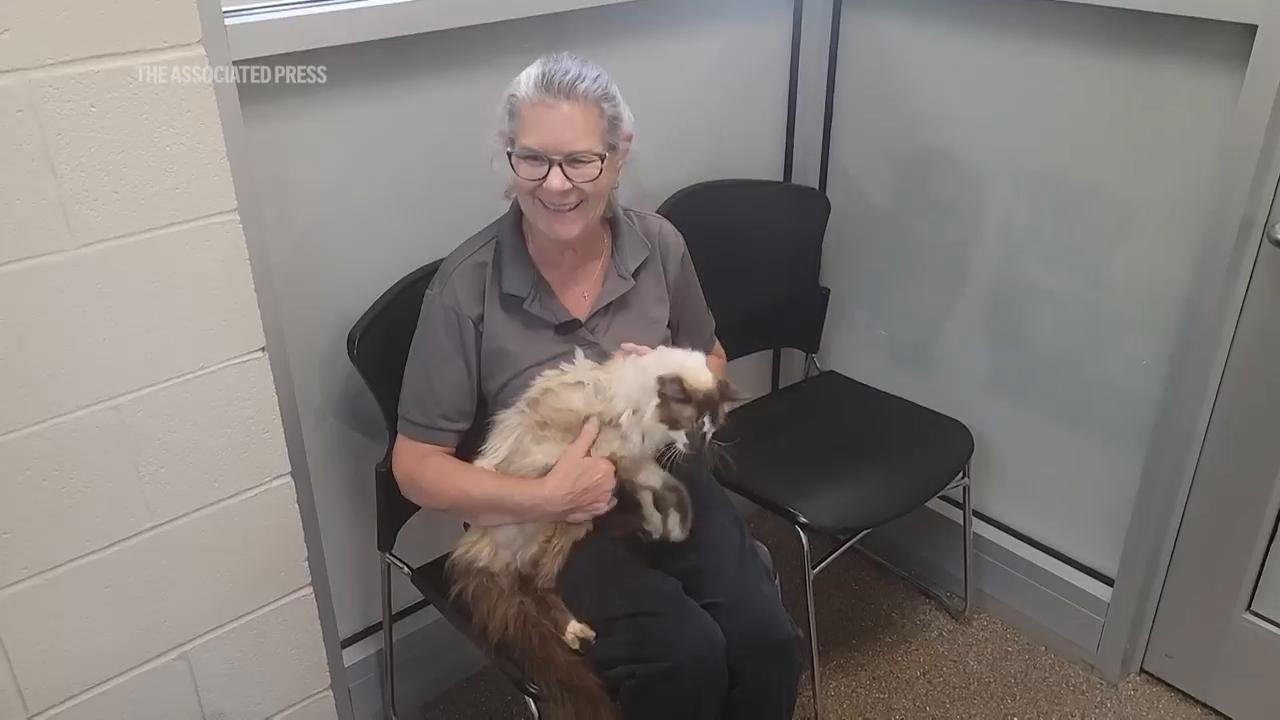 Joyful reunion: Woman back together with cat missing 11 years Joyful reunion: Woman back together with cat missing 11 years