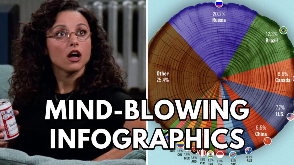 40 Curious Infographics That Teach Us Things We Didn’t Know We Needed ... 40 Curious Infographics That Teach Us Things We Didn’t Know We Needed ...