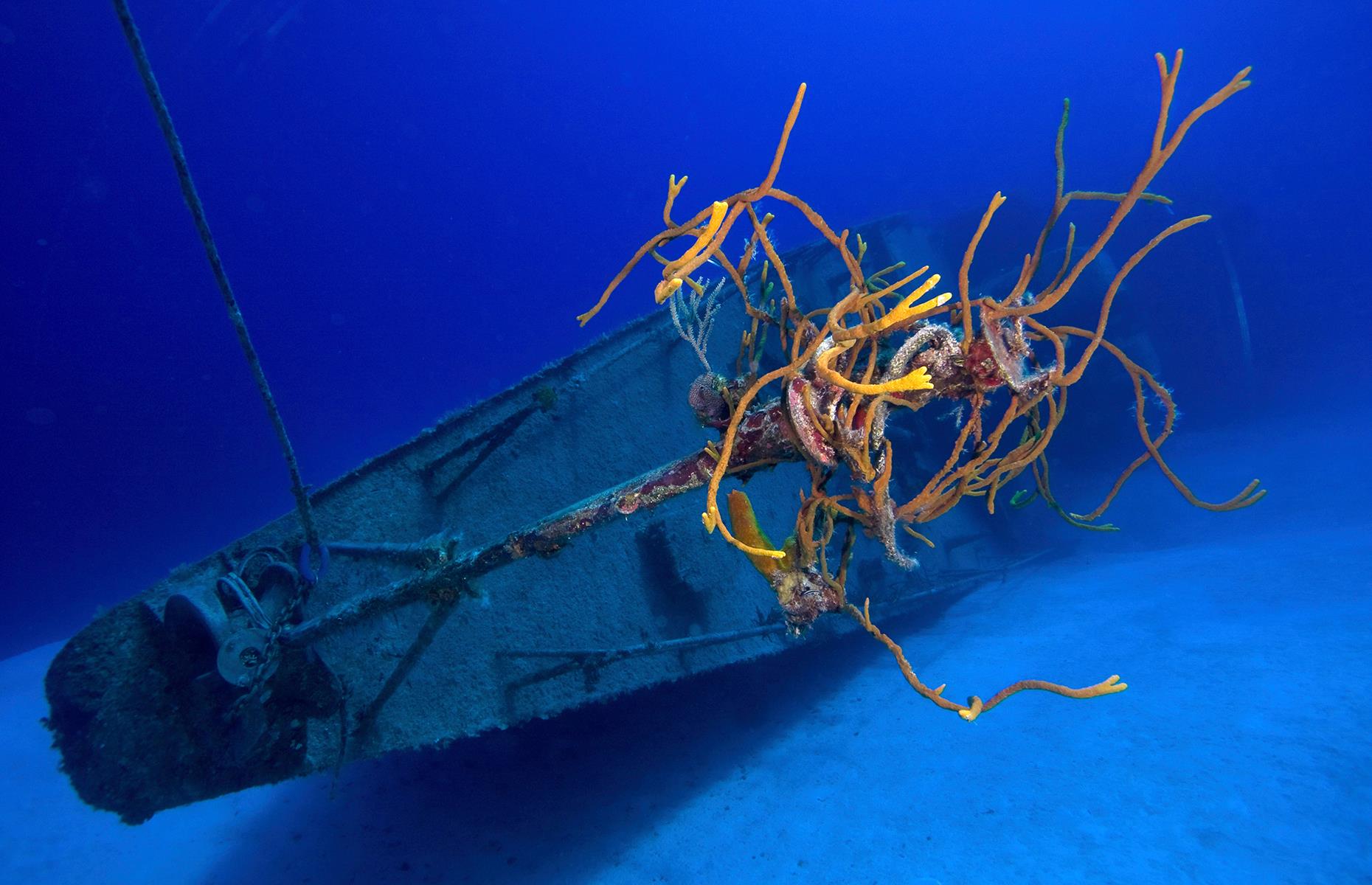 Haunting yet beautiful shipwrecks from across the globe