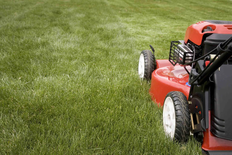 Here's How Often You Really Should Be Mowing Your Lawn