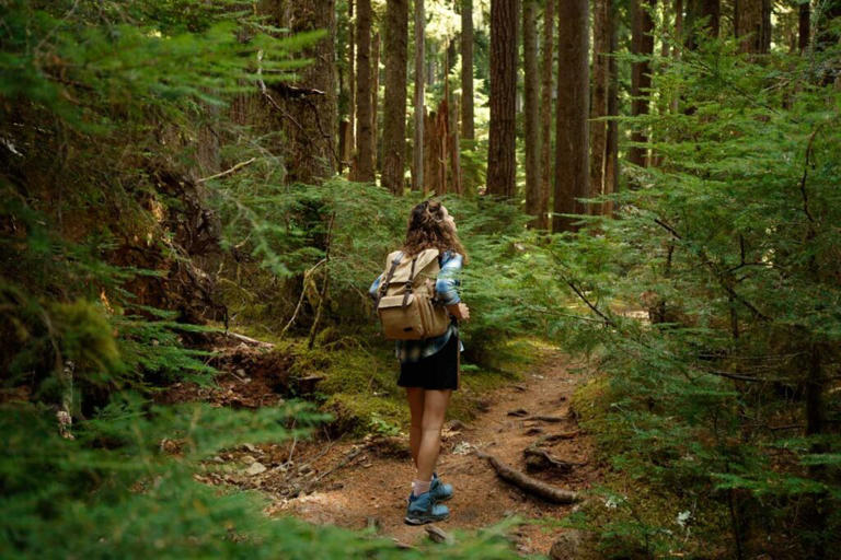 Your Guide to Hiking The Sol Duc Falls Trail
