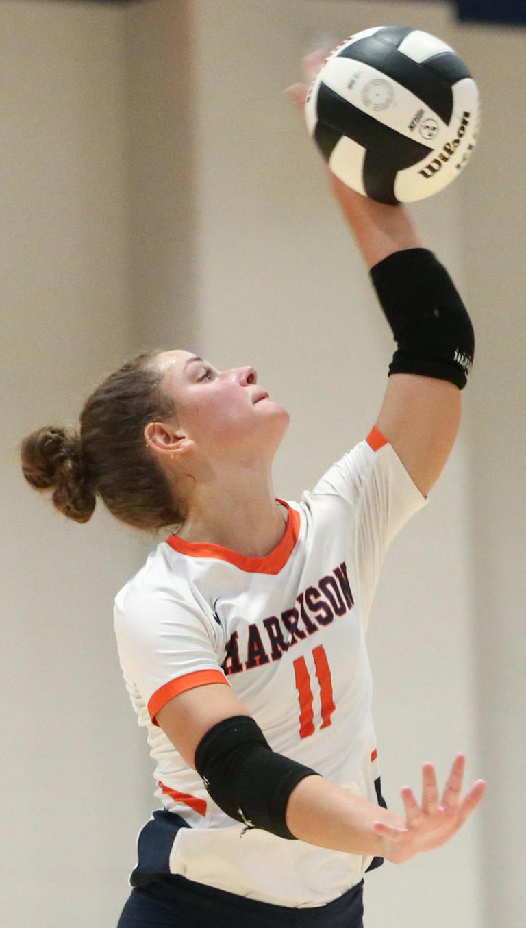 Meet the 2024 Journal & Courier Big Schools All-Area girls volleyball team