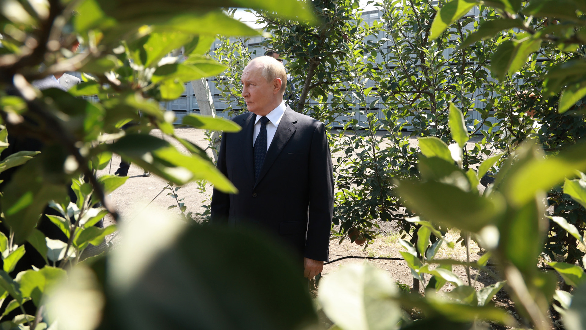 Poetin in snoepjesfabriek terwijl Rusland wordt aangevallen: waar is de ... Poetin in snoepjesfabriek terwijl Rusland wordt aangevallen: waar is de ...