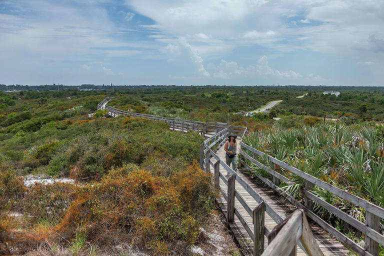 Jonathan Dickinson State Park began with this frightful encounter