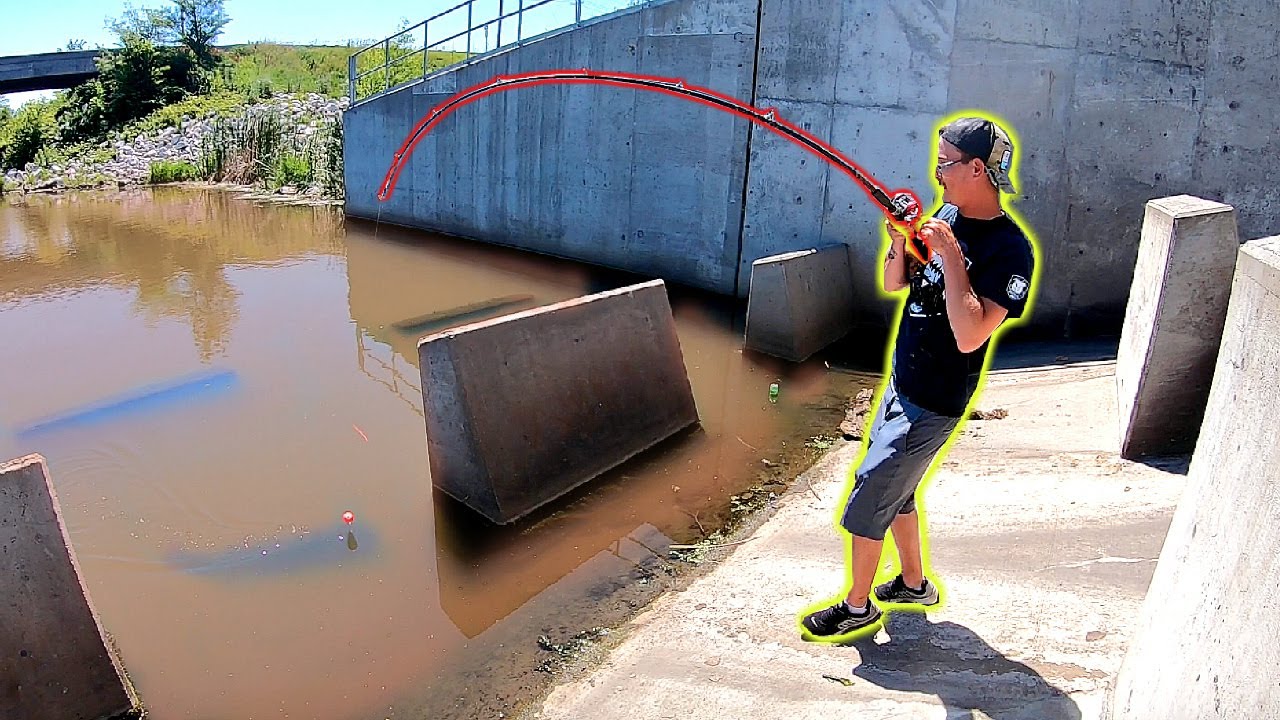 "Still Waters, Big Surprise: An Unexpected Catch from a Spillway"