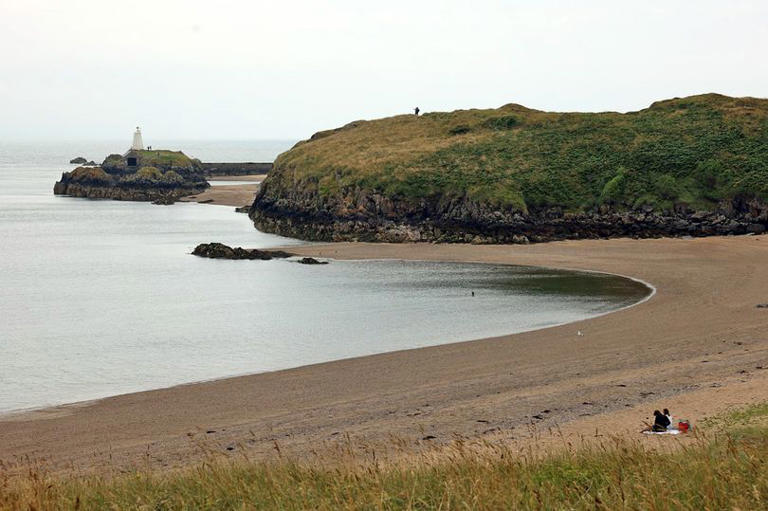 Strict new rules proposed for dog walkers on dozens of Welsh beaches