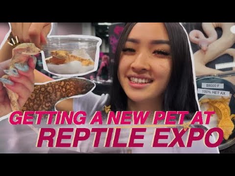 I got a new pet at the Reptile Super Show