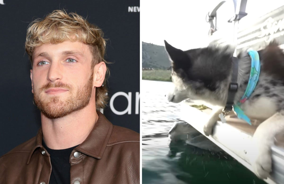 Logan Paul responds to claims he ‘pushed his dog off a boat’ Logan Paul responds to claims he ‘pushed his dog off a boat’