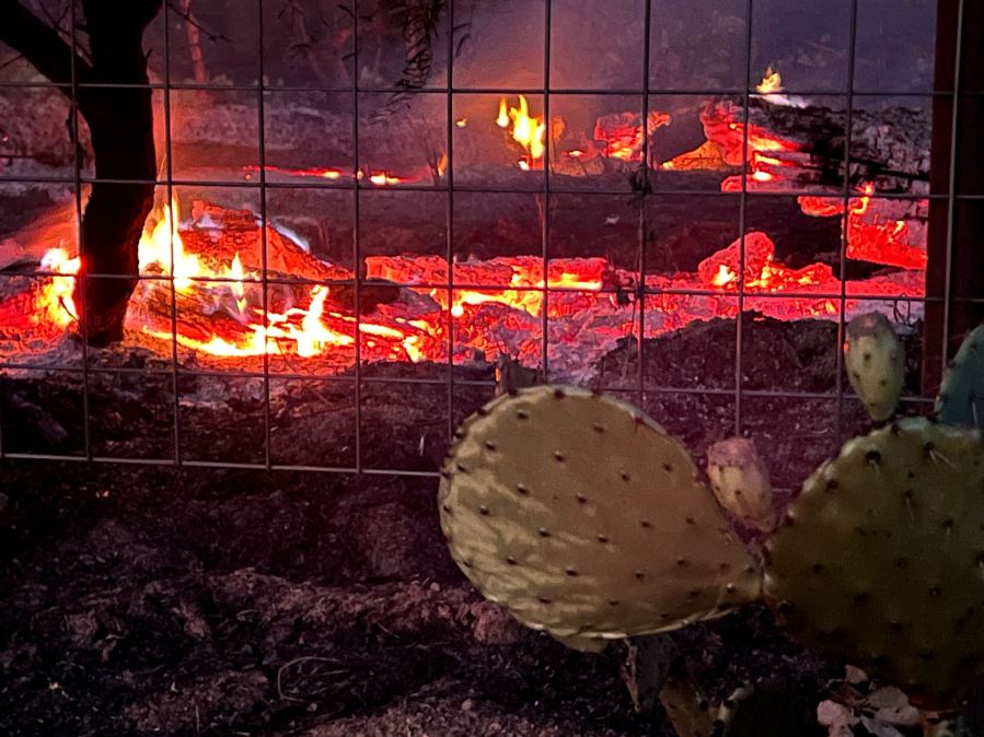 MAP: Where have wildfires burned in Central Texas in 2025?